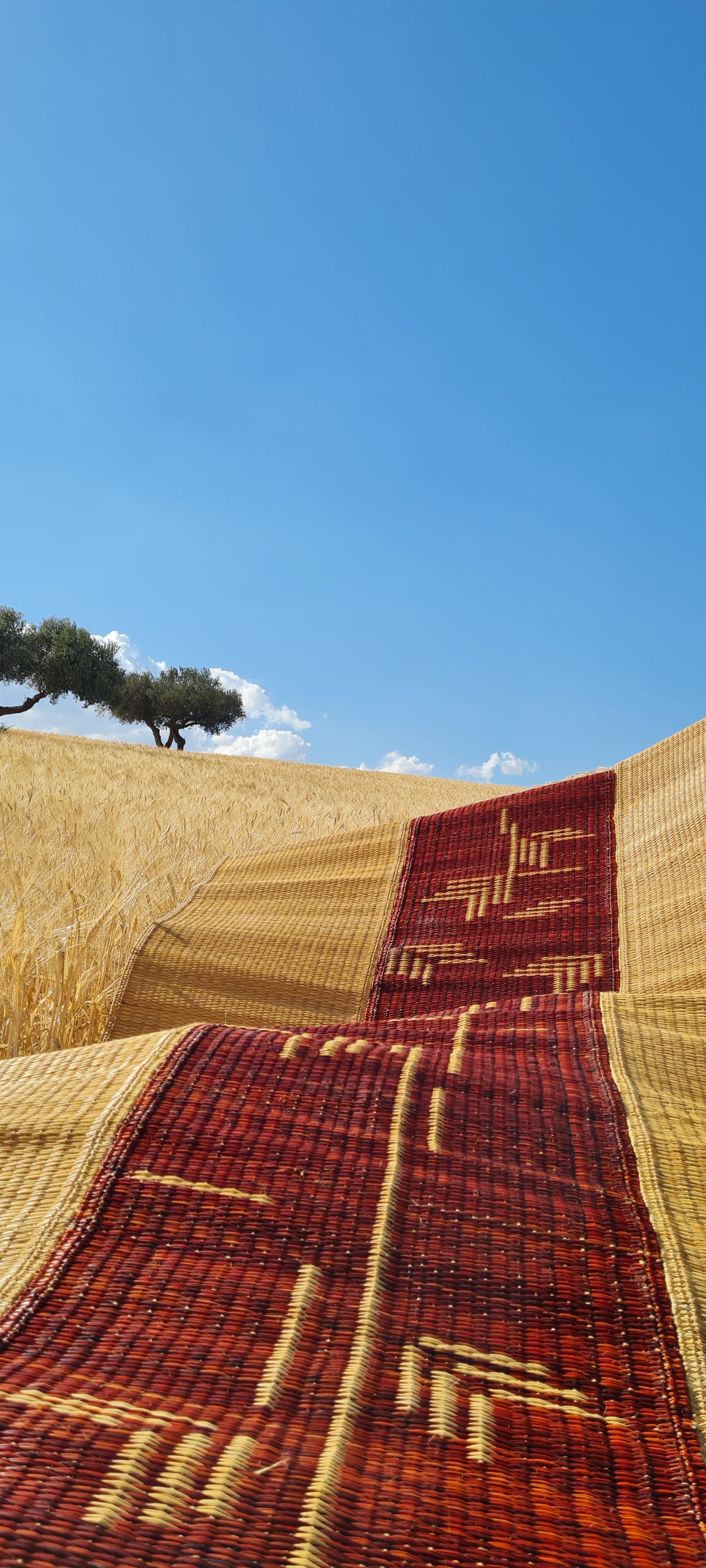 Discover the Elegance of Natural Colored Rugs: The Graphic Smar Collec ...